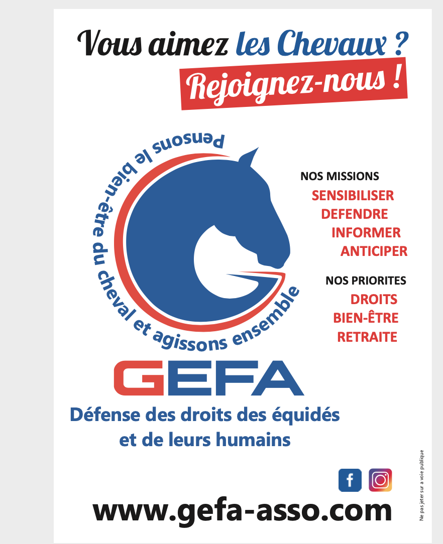 Le GEFA, c'est quoi ? - Association GEFA